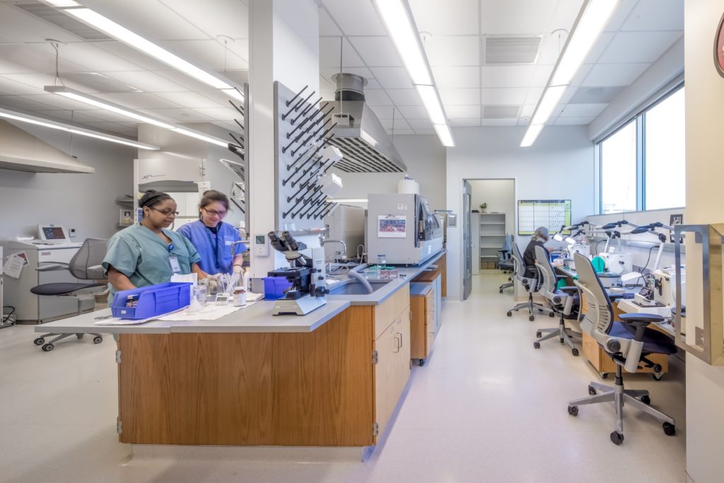 Crime Lab Design – Crime Lab Design