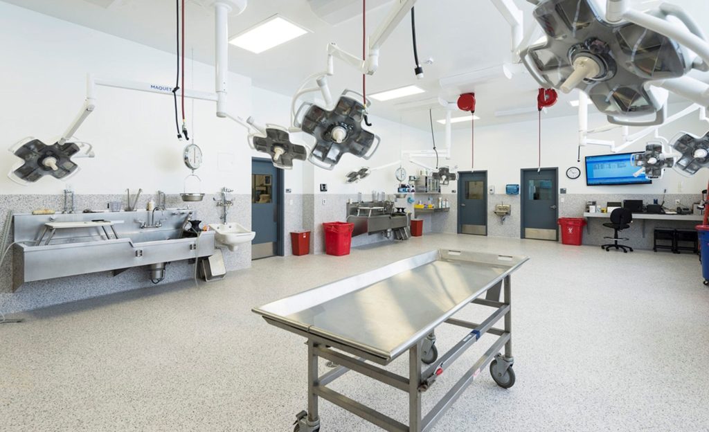 Projects – Crime Lab Design